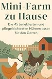🐇 Alles über die Hühnerarten: Warum die Leghorn-Rasse ideal für dich ...