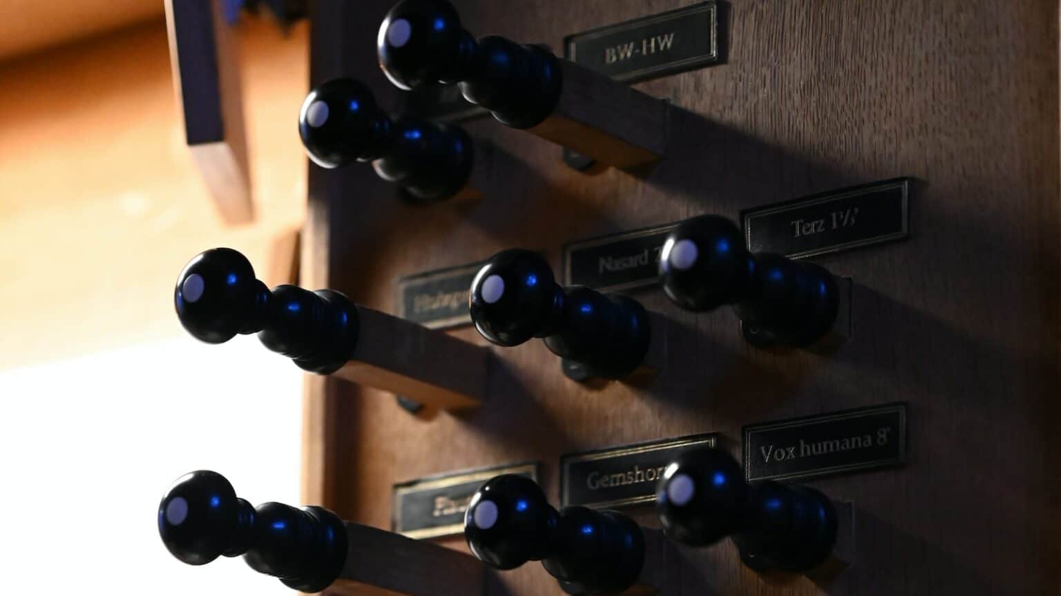 🐇 Welches Organ stirbt als letztes? im Mai 2026